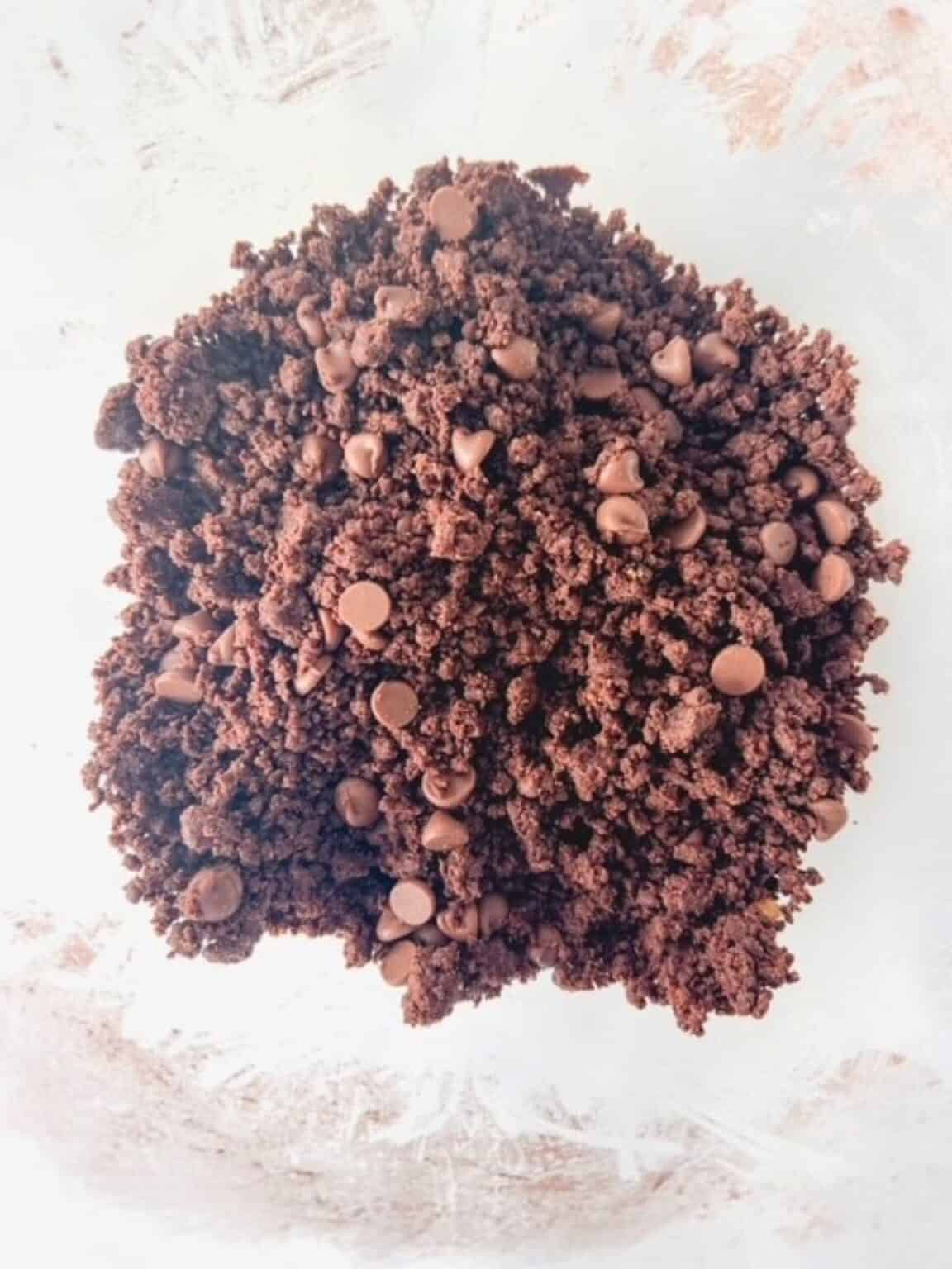 Chocolate Crumb Cake with crumble topping