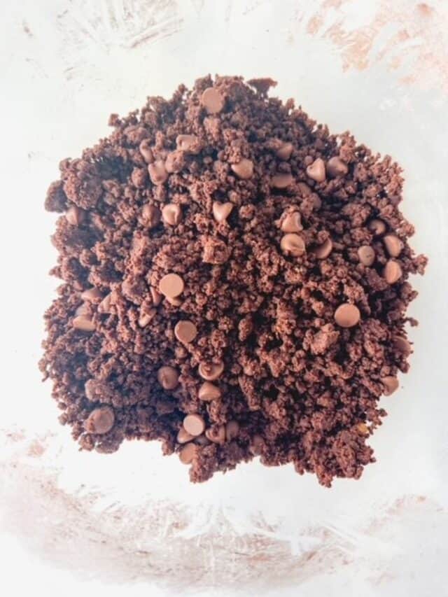 Chocolate Crumb Cake with crumble topping